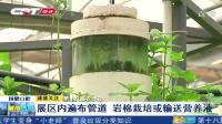 离开土的农产品?无土栽培模式,科学助力农业发展