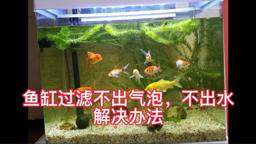 鱼缸过滤器不出气泡,不出氧气或不出水,小管子喷水的解决办法