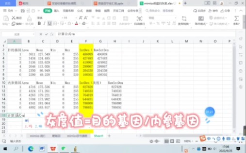 imagej 蛋白灰度分析