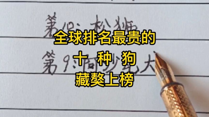 全球最贵的十种狗狗排名,藏獒上榜!丫丫写字分享知识与快乐。
