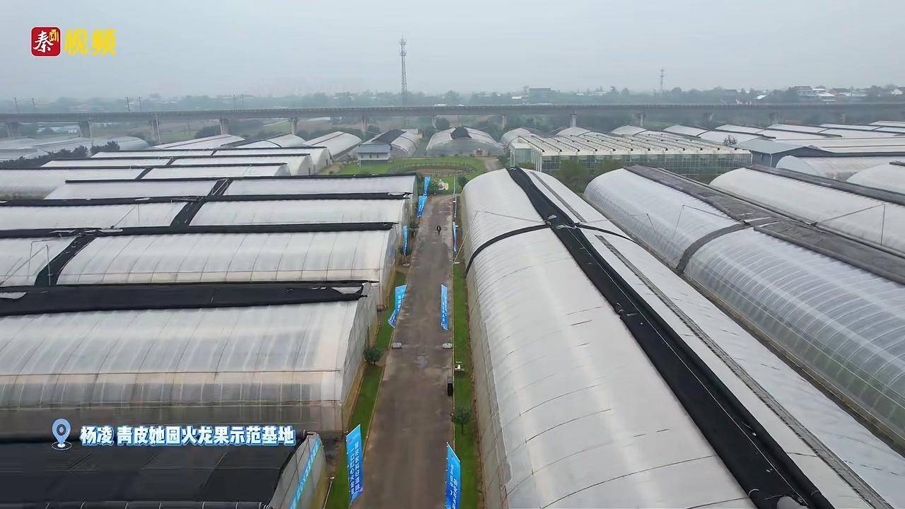 ...质'在必行--解码杨凌农科城创新实践"网络主题宣传活动媒体采访团走...