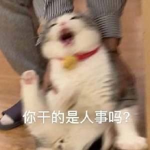 龟龟今天也很开心呐 