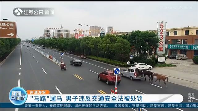 在“马路”上遛马?南通海安一男子违反交通安全法被处罚
