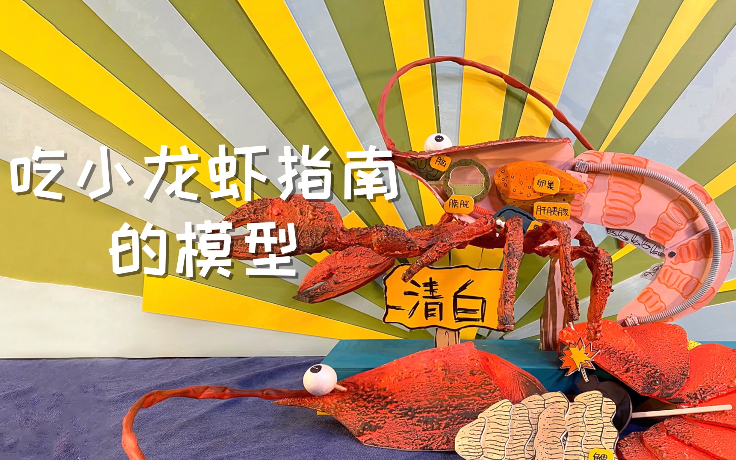 【模型师老原儿】麻辣?蒜蓉?十三香?别急!小龙虾也有不能吃的地方!...