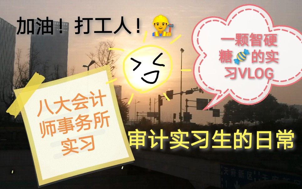 ...魂,打工都是人上人!审计实(gan)习(fan)生的日常/致同/八大会计师事务所