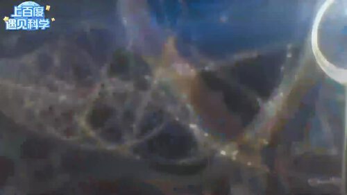 虚拟宇宙与现实宇宙差别几何?我们身处虚拟世界?如何回现实?