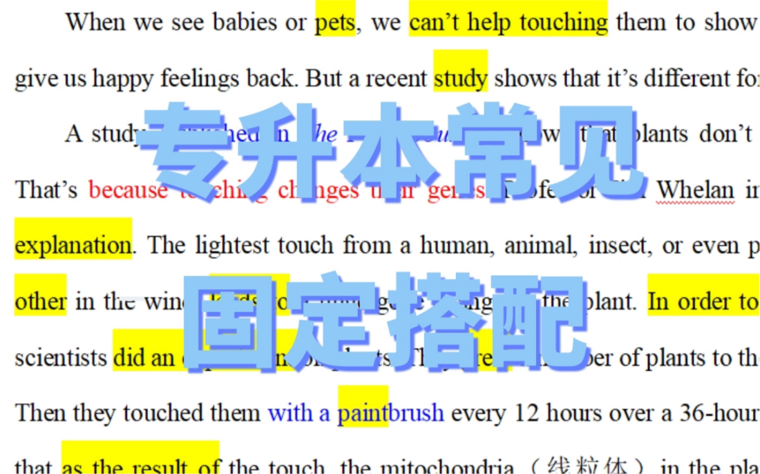专升本英语必背单词及固定搭配 2500词 逐词讲解 day4