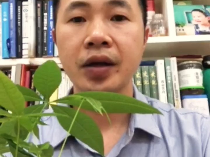 如何查询公司域名是否已到期?