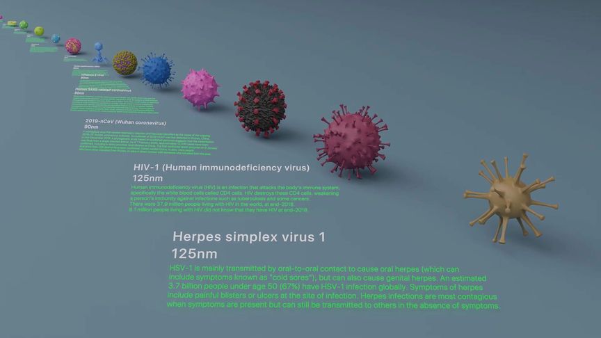 2020武汉冠状病毒有多大