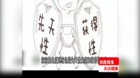人体免疫力从何而来?免疫力有哪些功能?皮肤也算免疫系统吗?
