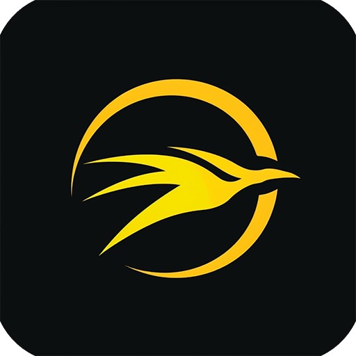 飞燕网游加速器 