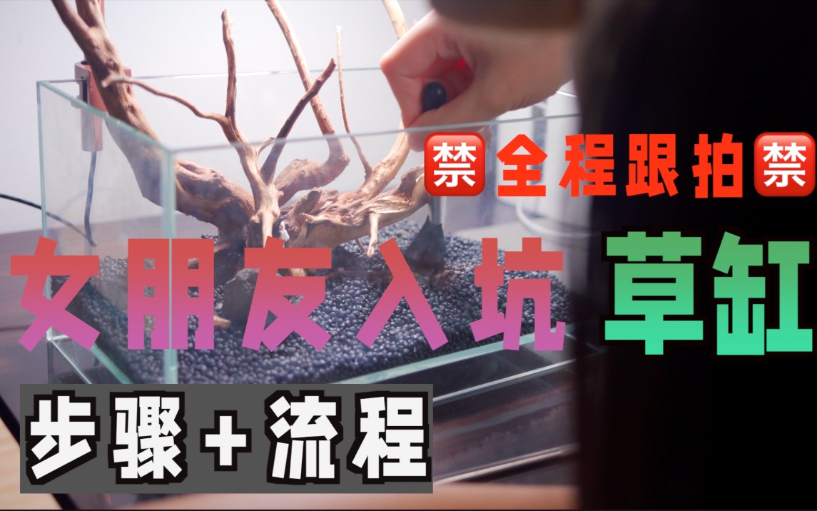 「新人教程」新入坑女友的首次开鱼缸全记录 步骤➕过程记录