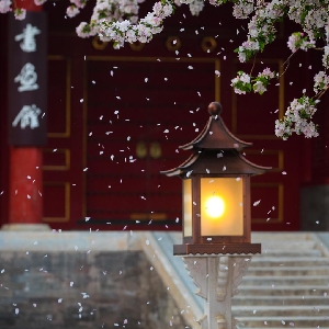 传播中医智慧 