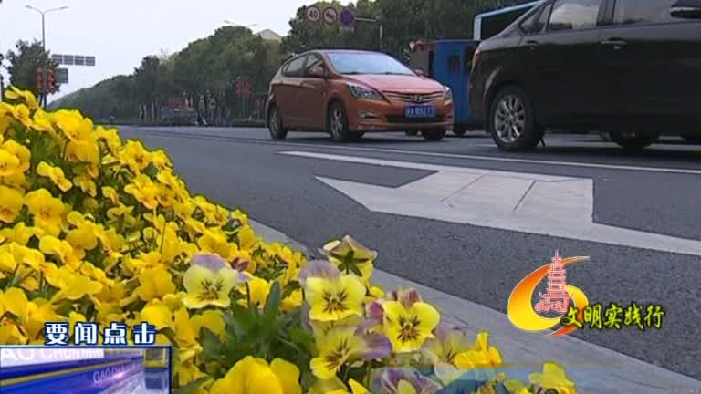 我区外卖车辆实现“一车一号牌”管理模式