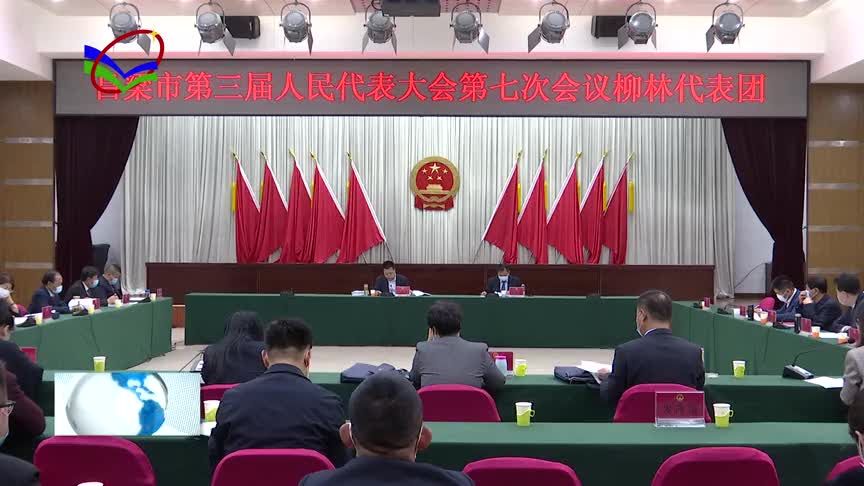 吕梁市三届人大七次会议柳林代表团审议市政府工作报告