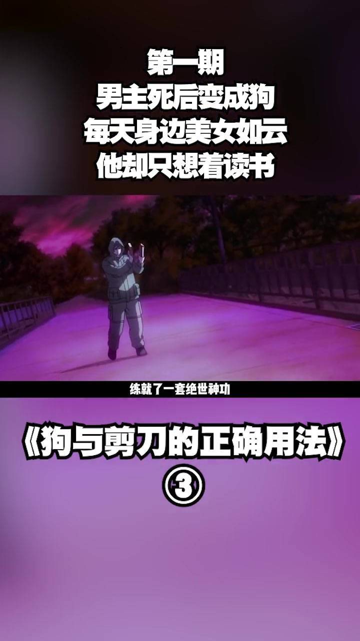 狗与剪刀的正确用法1-3集|活着不如加速猪