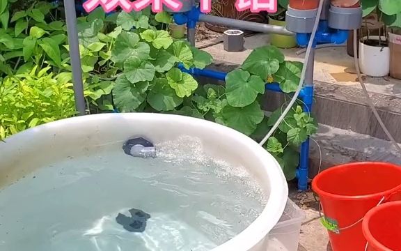 【养鱼】外置气提推水,适合家庭小系统