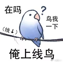 岩真笑 