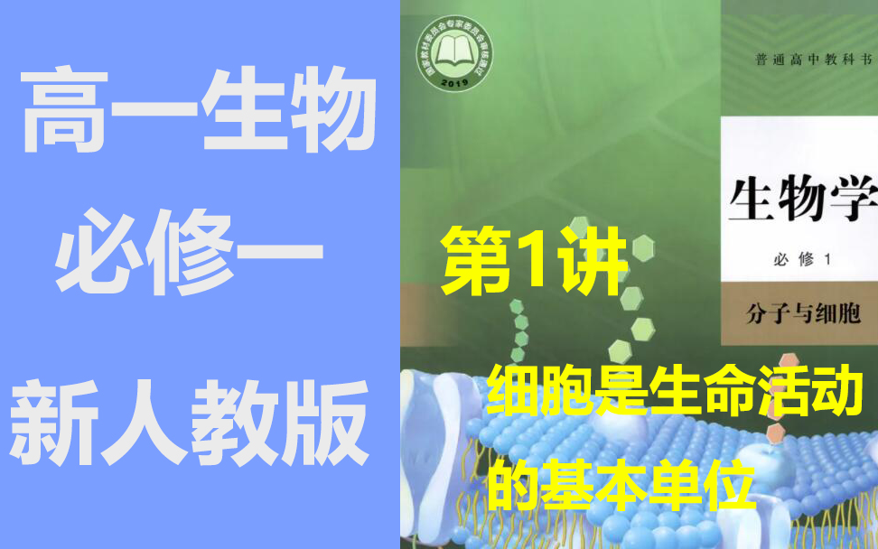 高一生物必修一 细胞是生命活动的基本单位 分子与细胞 2021新人教...