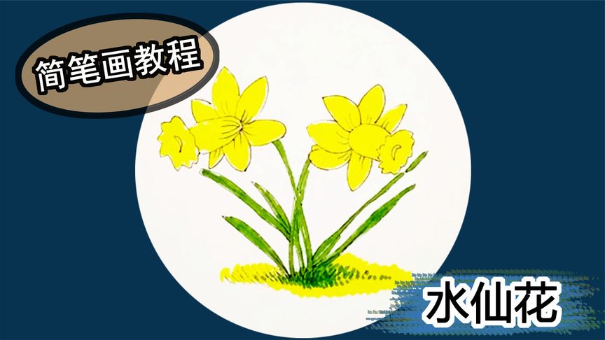 超详细简笔画教程,教你画中国十大名画之一凌波仙子,水仙花