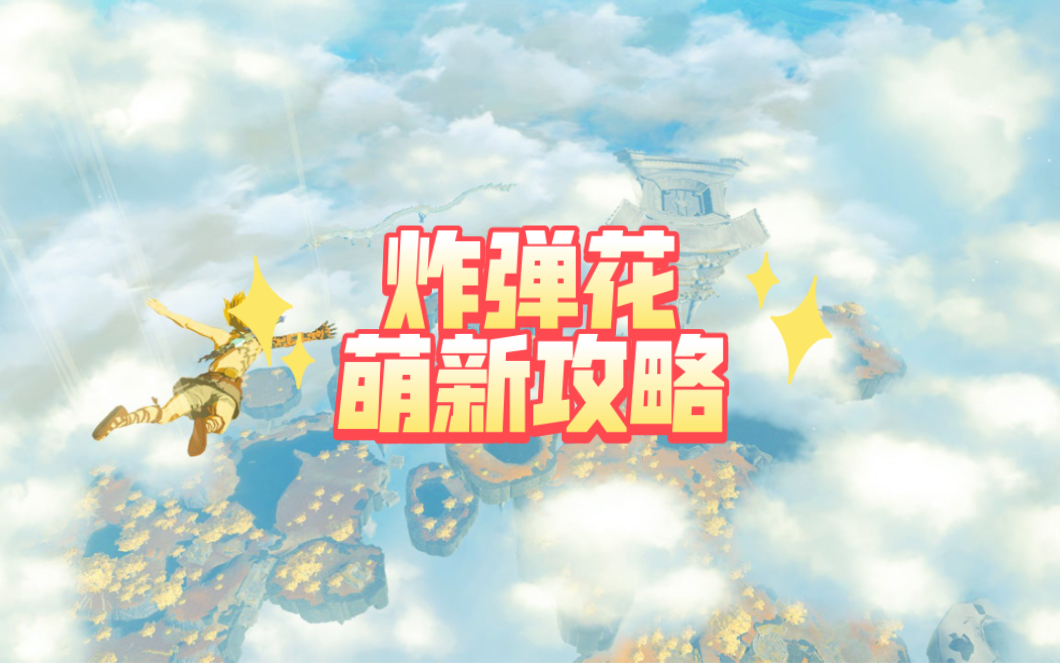 塞尔达传说王国之泪怎么刷炸弹花1.2.1如何实现炸弹花自由_塞尔达传说