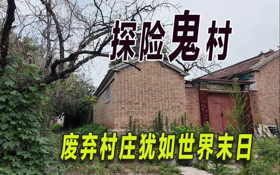 探险无人鬼村,感觉像世界末日,天津武清区的成片村庄集体搬离。村庄...