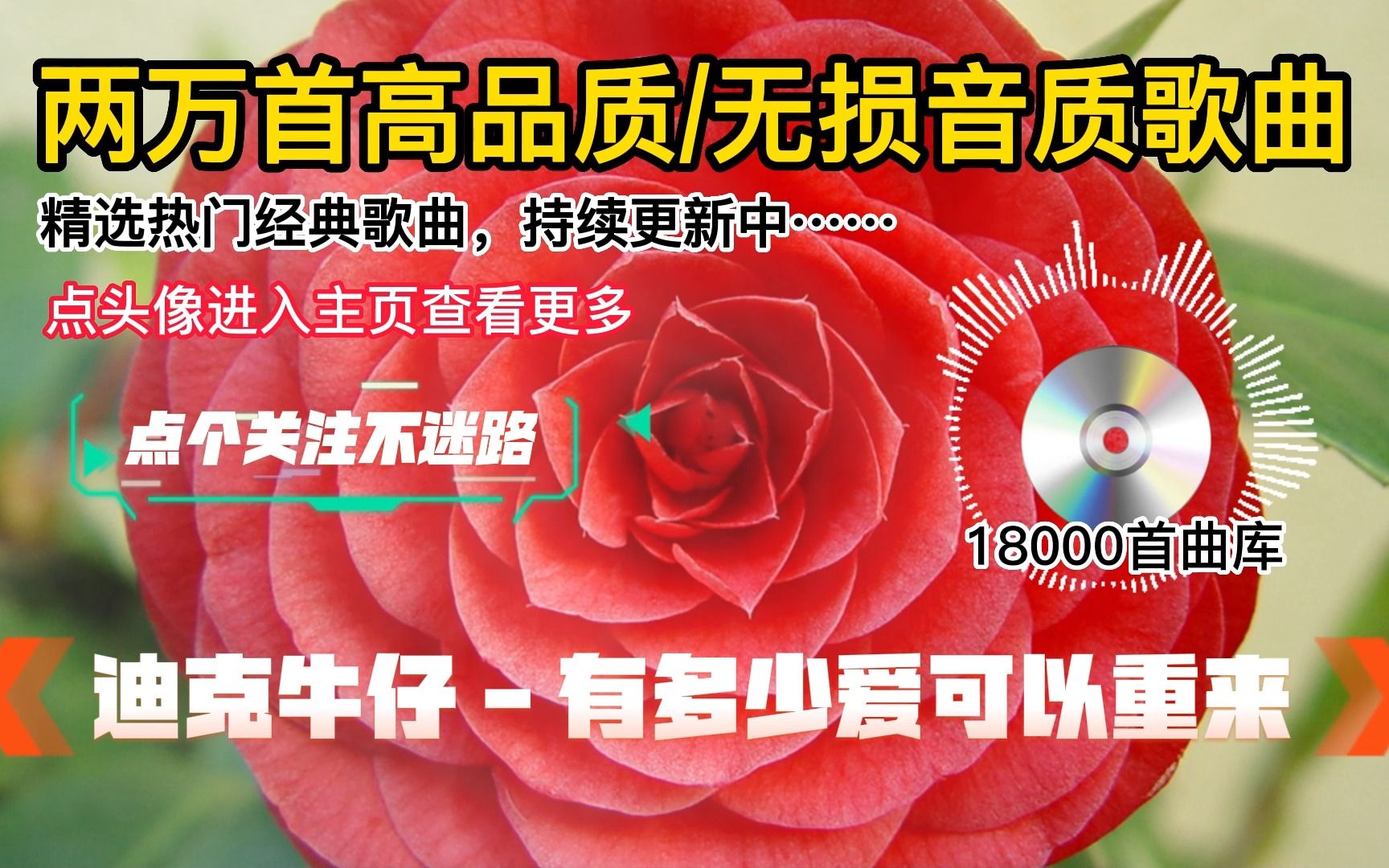dj视频歌曲大全100视频播放下载 hifi无损音乐下载网站 下载车载歌曲...
