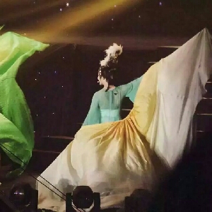 纤墨静淌风影残 