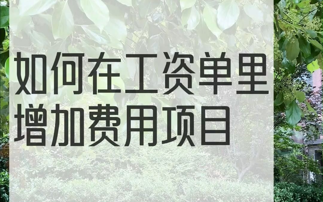 如何在工资单中增加费用项目。