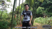 胡轩浩为你介绍一下桃树的生长环境以及哪种土壤更加适合它