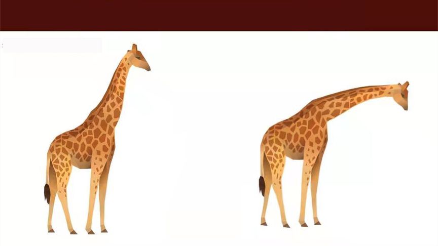 PS小技巧 巧用操控变形工具制作特定动作 小鹿低头