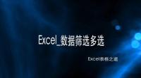 Excel_数据筛选多选