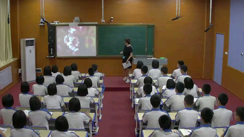 ...《大自然的语言》 有配套课件+教案(逐字稿) 名师优质公开课 (执教:王...