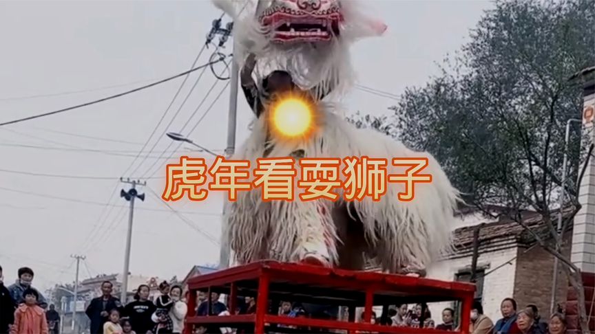 虎年带大家看狮子表演!元宵节乐翻天,舞狮表演一睹为快,强强!