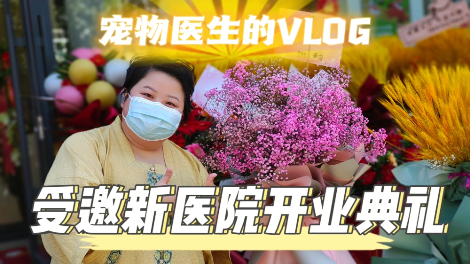 【黄小胖】宠物医生受邀参加宠物医院开业!带大家看看新医院和老牌...