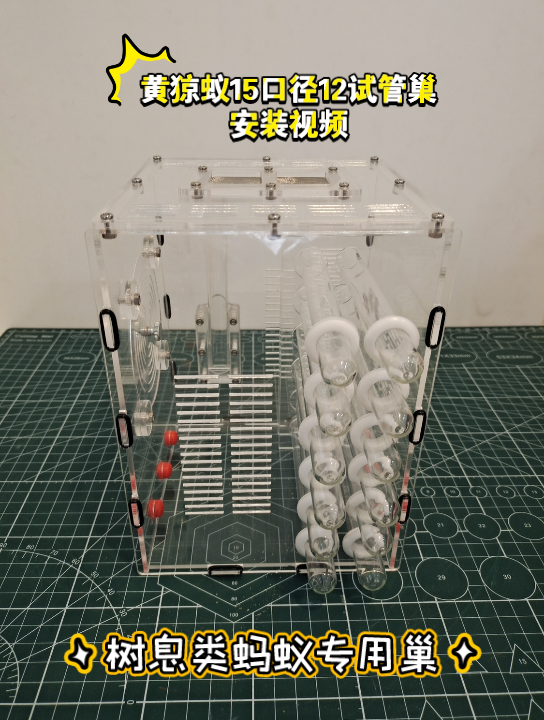 黄猄蚁15口径12试管巢安装视频,树息类蚂蚁专用巢