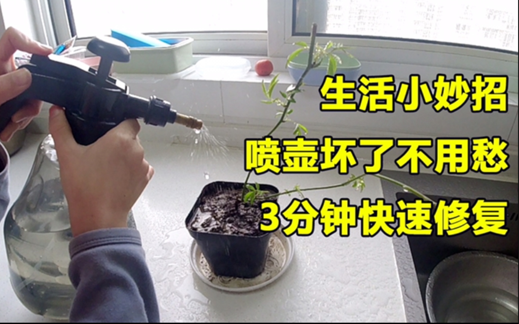 生活小妙招|喷壶坏了不用愁,3分钟快速修理