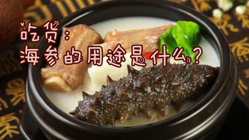 吃货:海参的用途是什么?