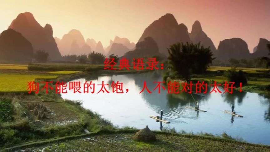 经典语录:狗不能喂的太饱,人不能对的太好,都懂这句话的含义吗
