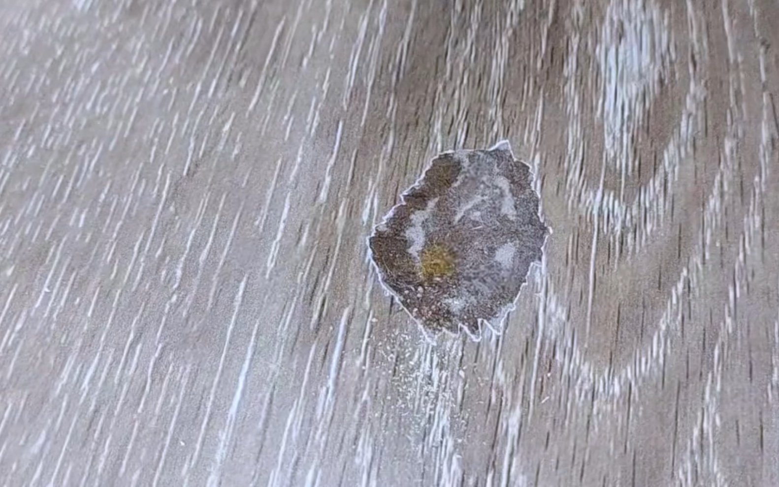 说好修复500,装修负责人却耍赖。我做的对吗?#万物研究所#