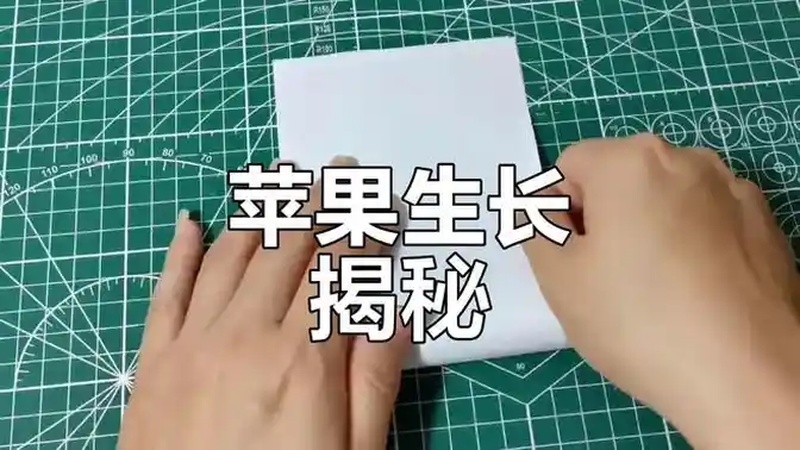 用立体书教孩子苹果的生长过程,动手做起来吧!