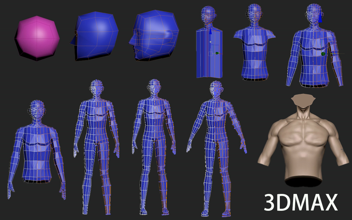 ...零基础学习3DMAX男人人体模型布线,zbrush进行肌肉精雕,低模变高模