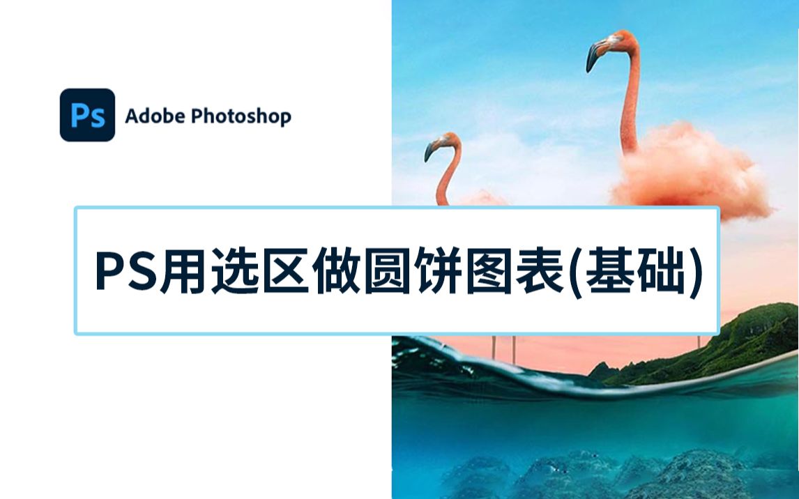 PS选区基础案例-做圆饼图表