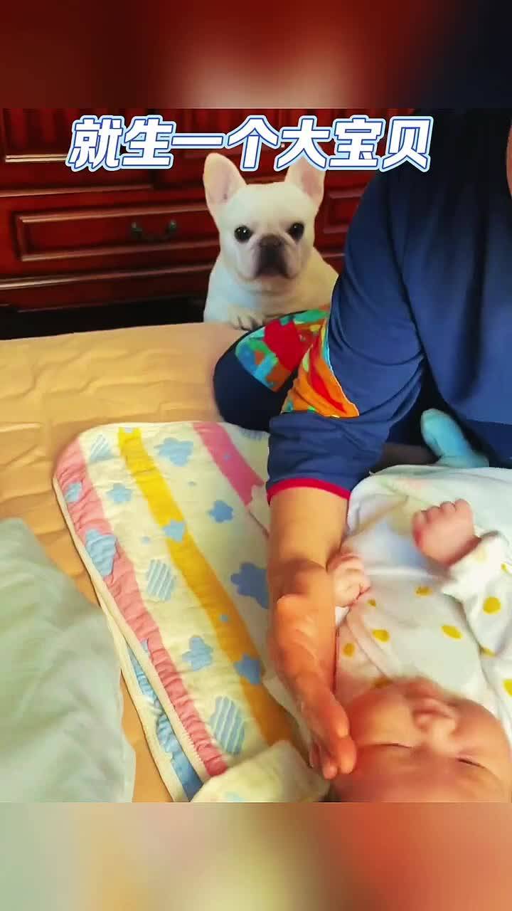 这狗狗也太搞笑了