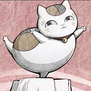 猫咪老师不脱发 