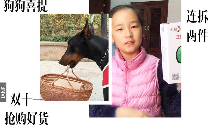 狗狗喜提 双十一抢购好货 连拆两件