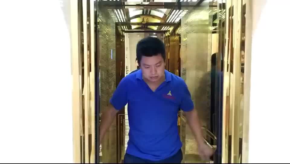 湖北项目,钛金蚀刻中分双折叠开门700mm,精致