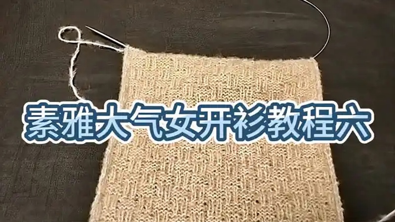 漂亮时尚素雅大气女开衫毛衣编织教程六