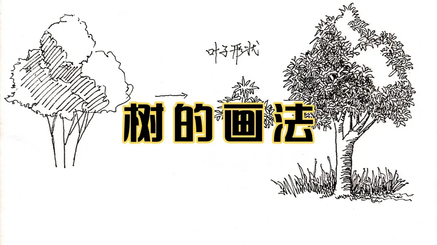 3个步骤教你画树,绘画一定要有耐心哦!