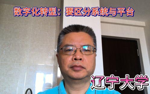 数字化转型:要搞清什么是“系统”,什么是“平台”?